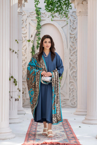 ZS7 Serah by Zaina 3pc Linen Long Dress with Printed Velvet Shawl – The ...