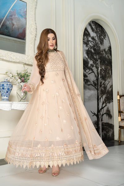 Luxury Formal Ready to Wear Embroidered Dress by Aleezay 10 – The Zaibai